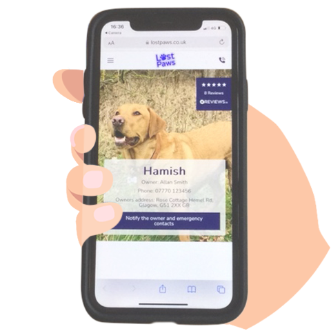 How It Works | Lost Paws Identity Tag